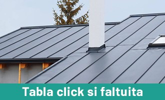 TABLA CLICK SI FALTUITA - LEAD ROOF